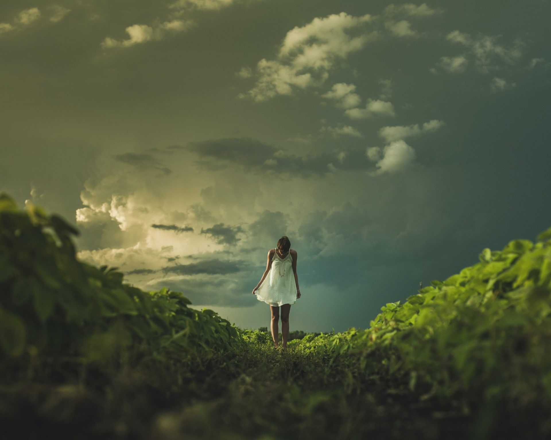 A Brave Life » In Your Right Mind Podcast with Monique Rhodes