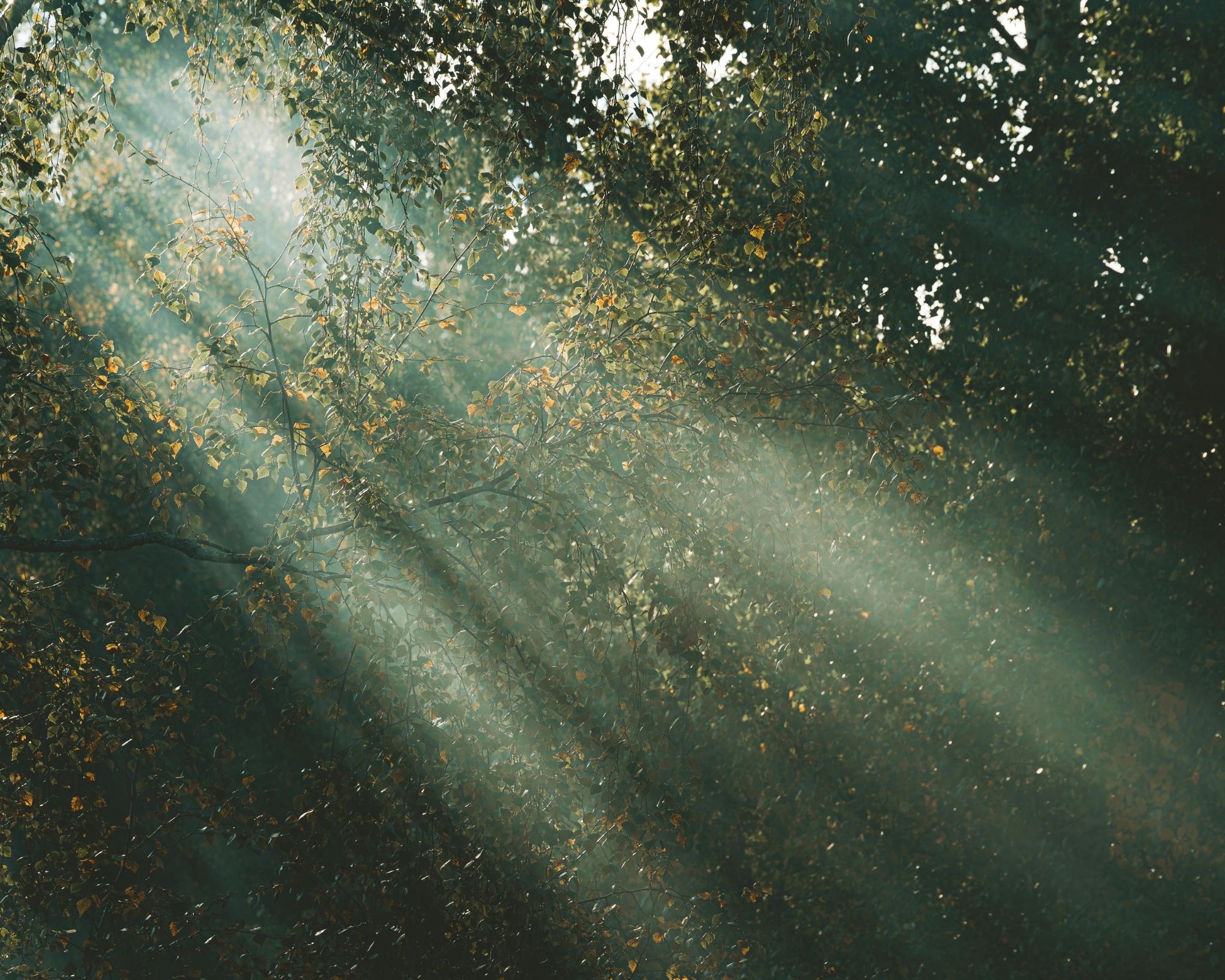 A Simple Mindset Shift That Could Transform Your Life